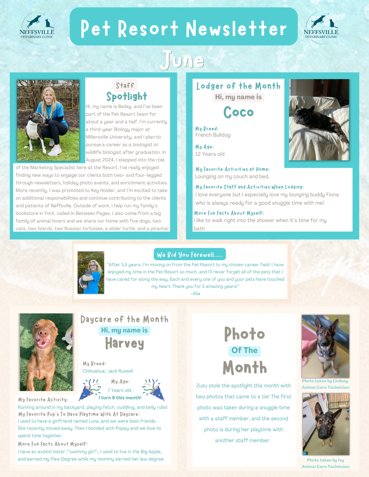 Blog & Newsletters | Neffsville Veterinary Clinic